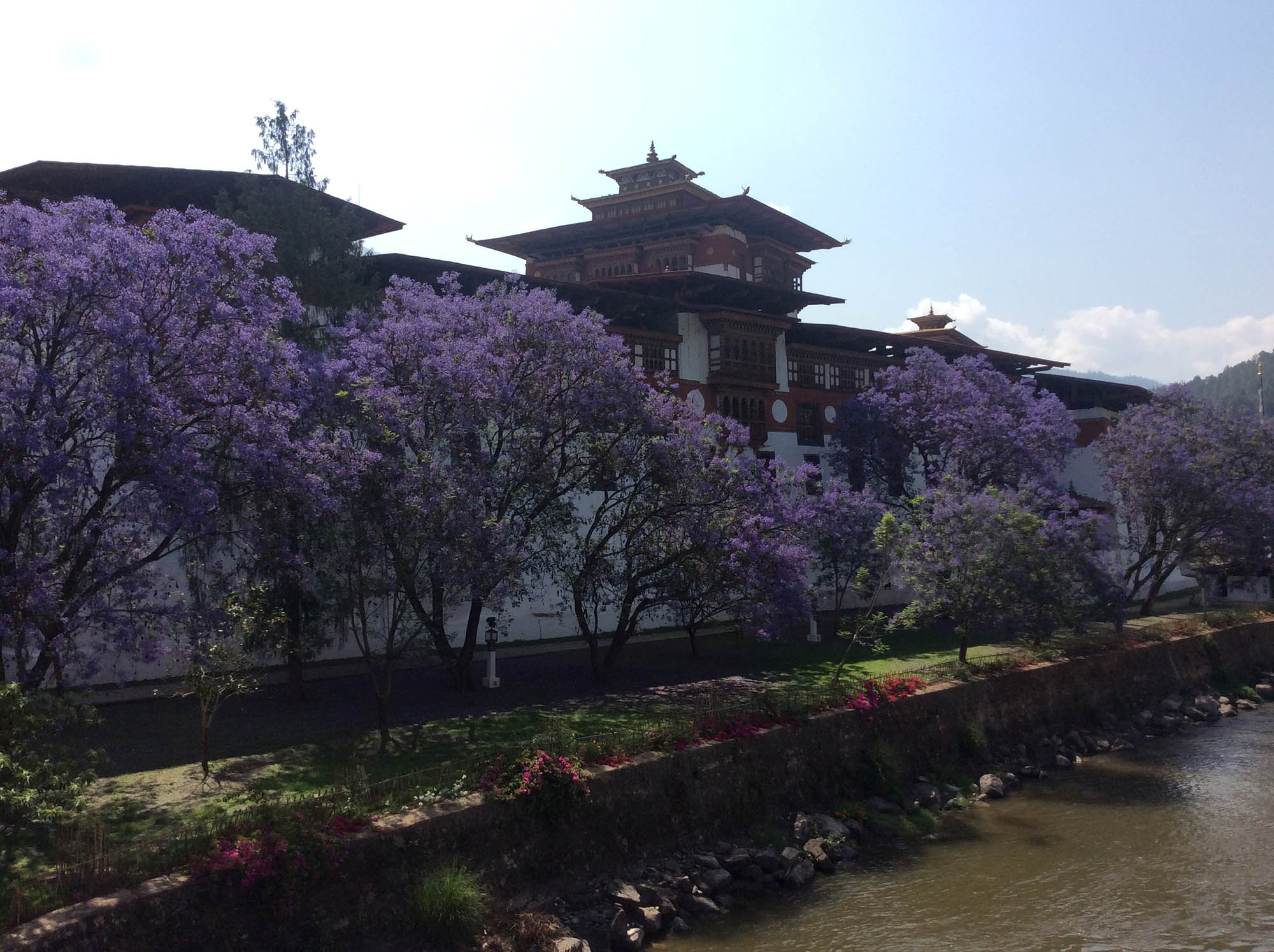 Gallery - Graceful Bhutan Travel