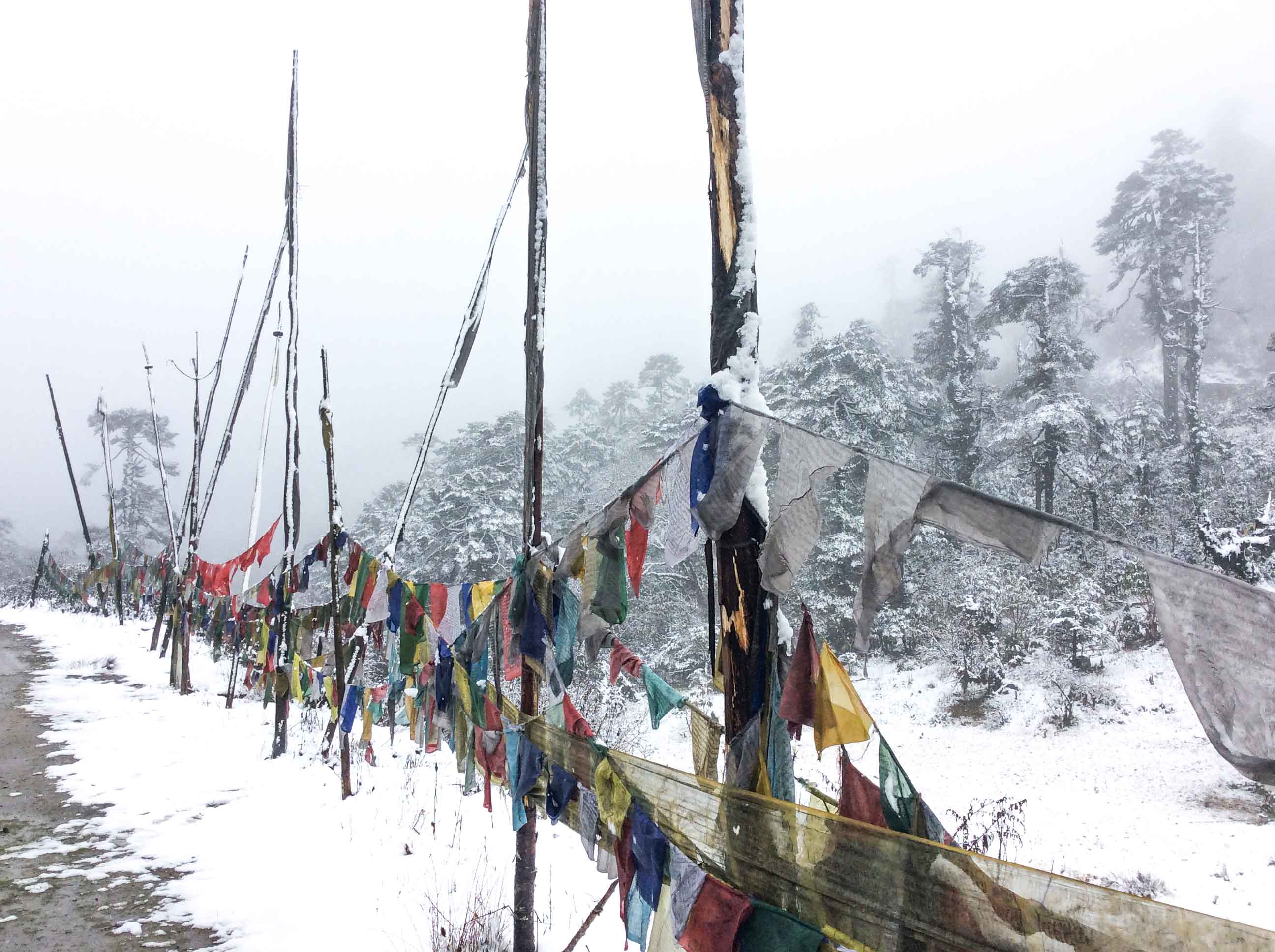 Gallery - Graceful Bhutan Travel